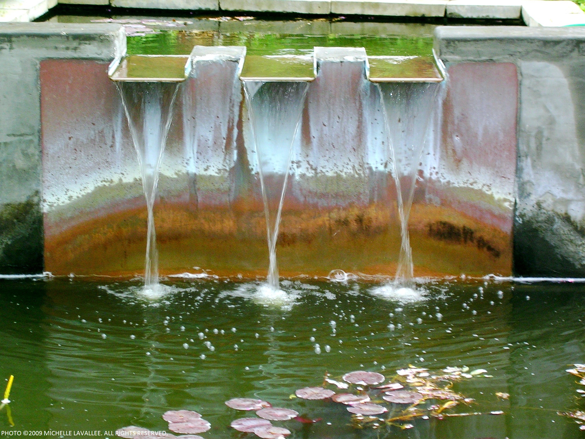 Mindfulness and Compassion Symposium – IONS