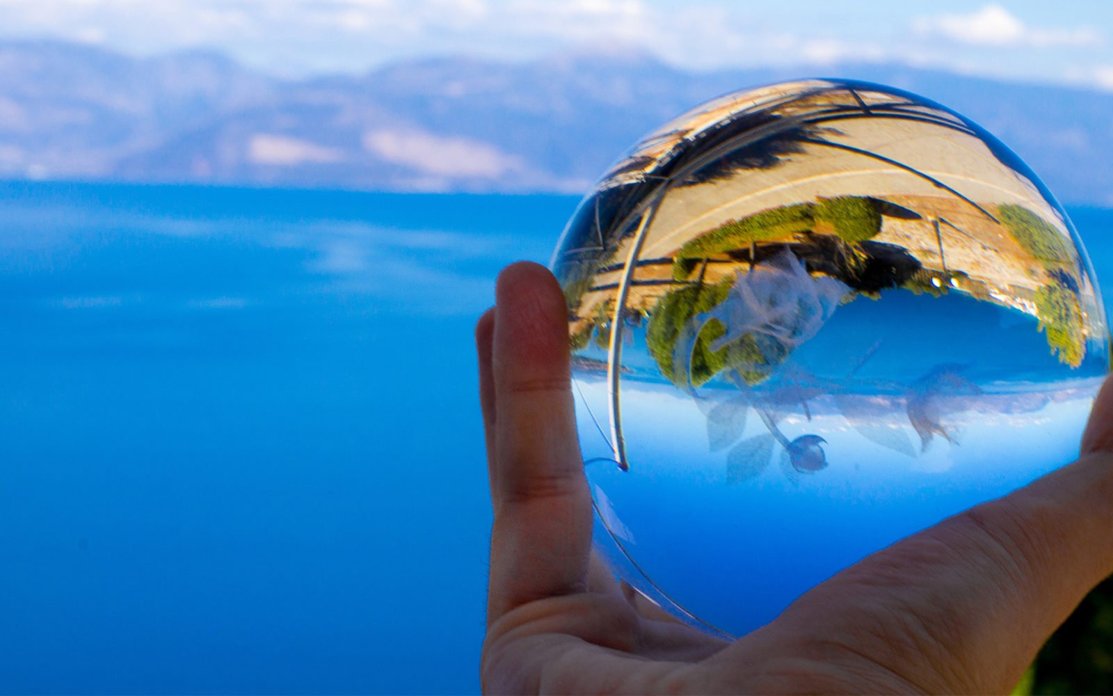 Institute of Noetic Sciences (IONS)