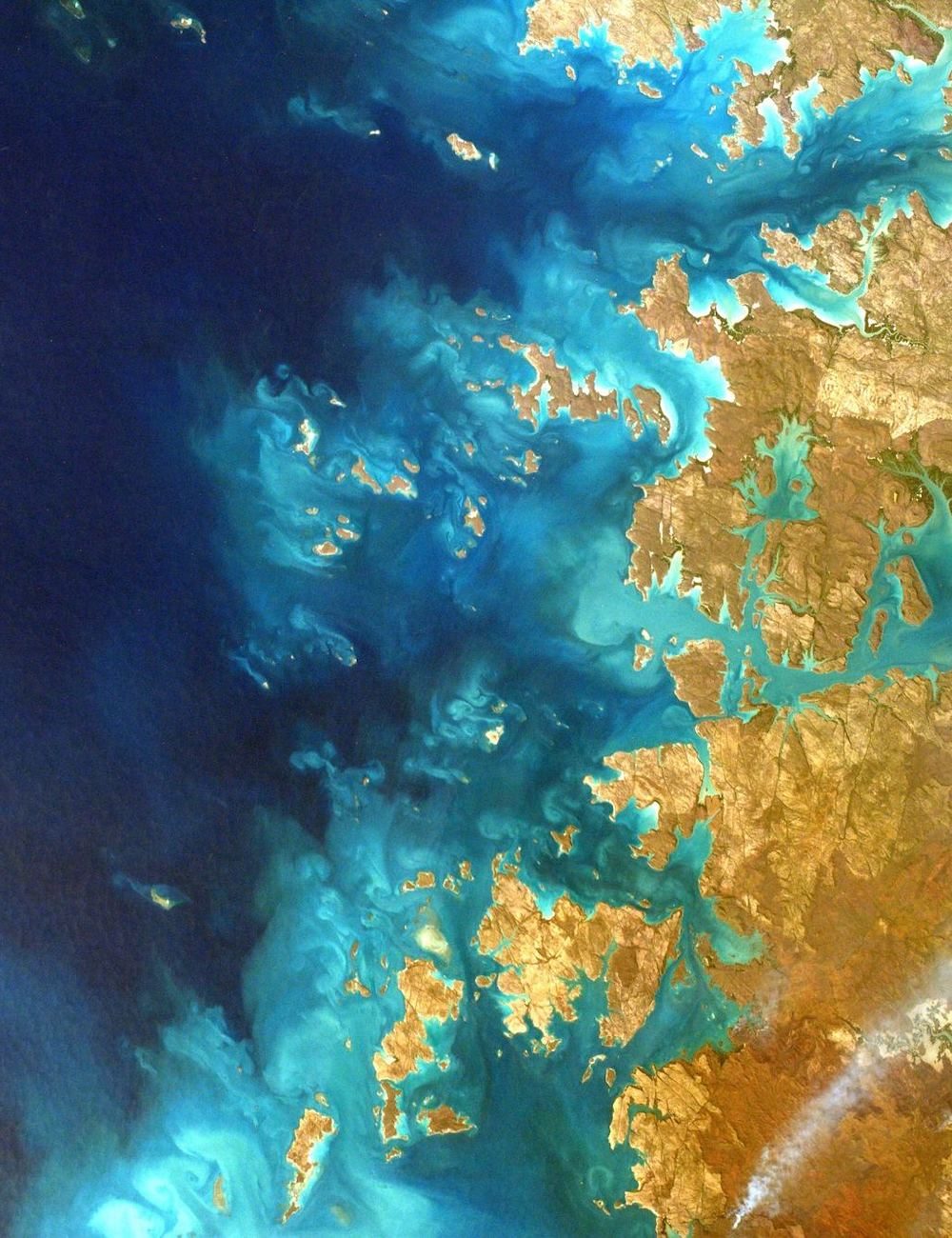 Institute of Noetic Sciences (IONS)