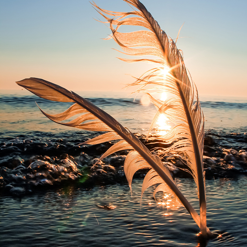 The Science of Channeling Is Changing People’s Lives! – IONS