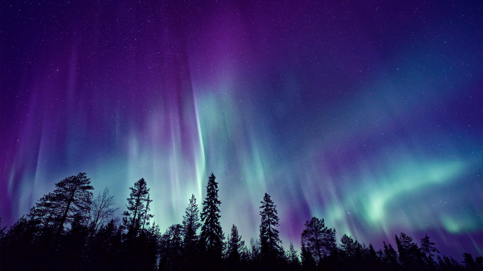 Media Kit | Institute of Noetic Sciences