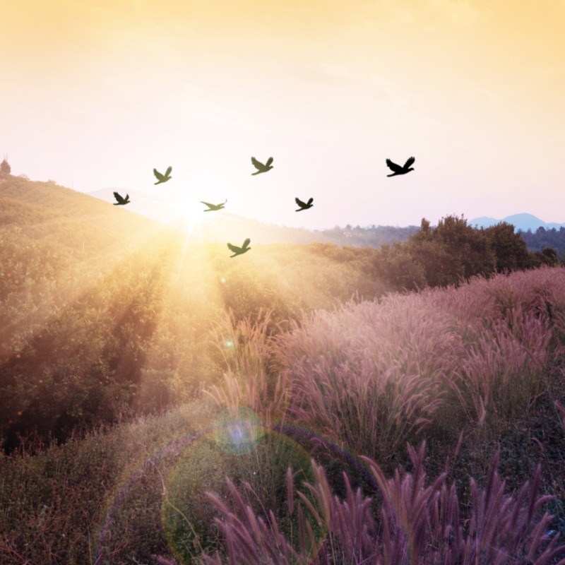 Does Evidence About Reincarnation Suggest Survival of Consciousness? – IONS