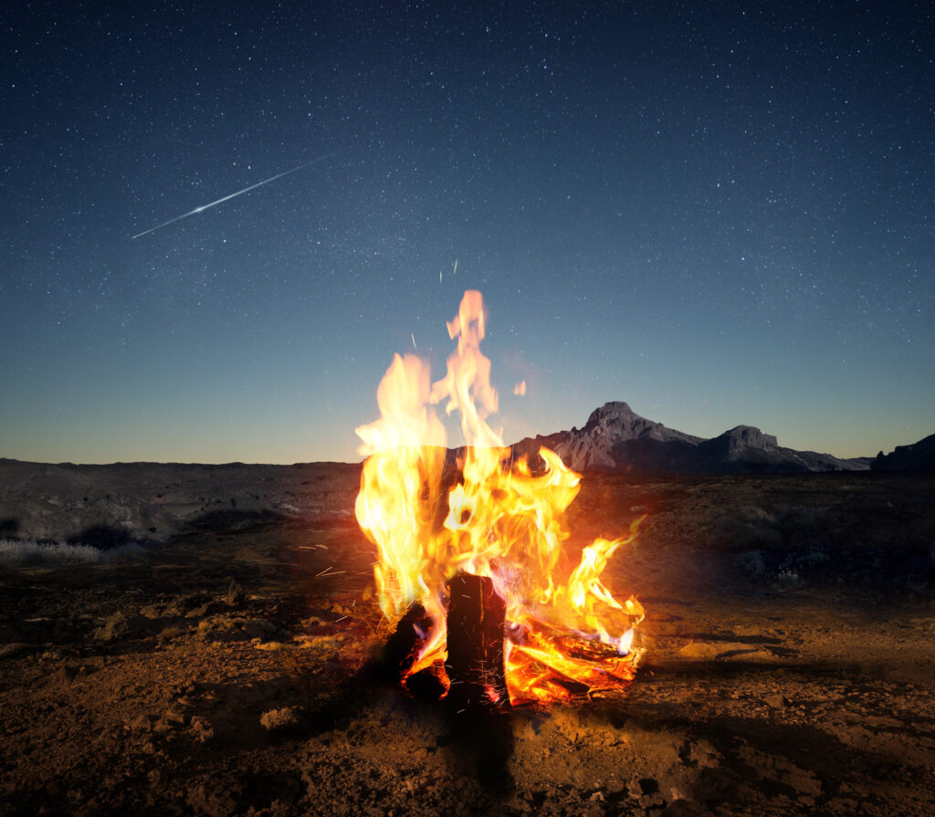 Understanding Twin Flames | Institute of Noetic Sciences