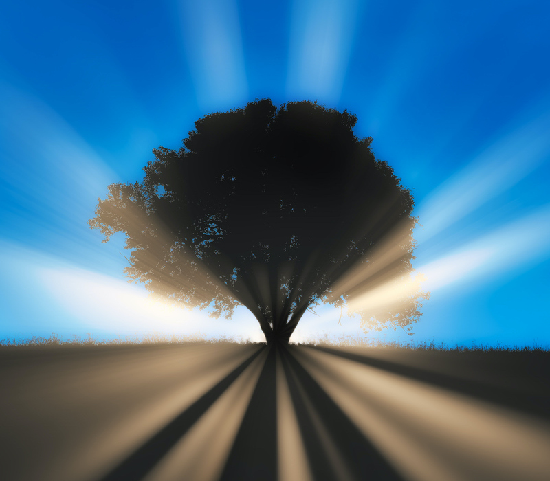 Exploring the History of Reincarnation Beliefs | IONS