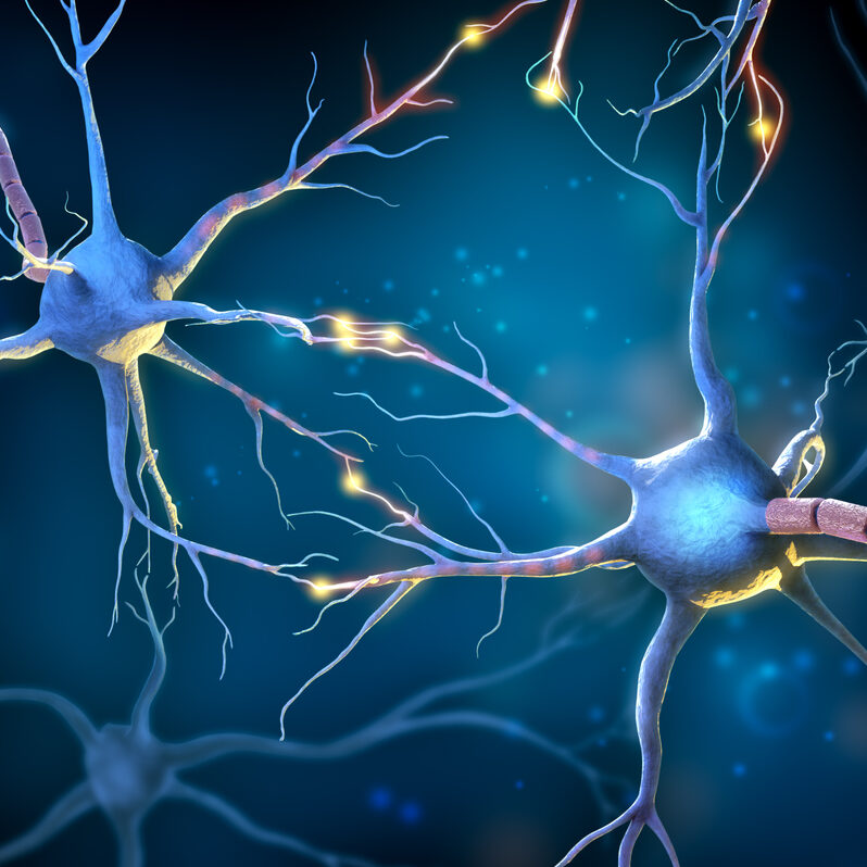 EEG is Better Left Alone | IONS